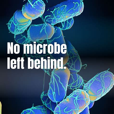 Workflow Overview 16s Sequencing Oxford Nanopore Technologies