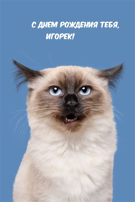 С днем рождения тебя Игорек