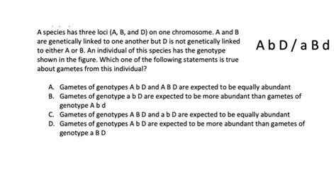Solved A Species Has Three Loci A B And D On One