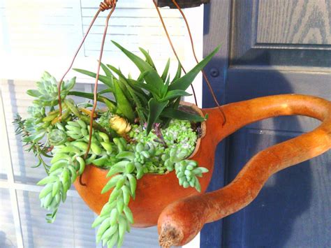 9 Gourd Planters Ideas Gourds Crafts Decorative Gourds Painted Gourds