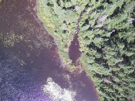 Mapping Vernal Pools Using Lidar Data And Multitemporal Satellite