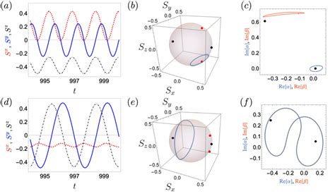 There Are Two Distinct Dynamical Limit Cycle Phases In The System The