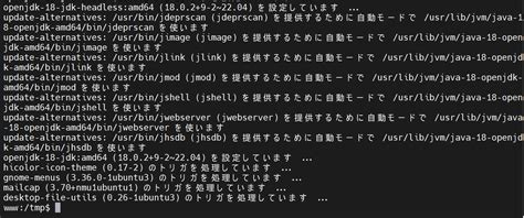 openjdk 18 のインストールと設定（ubuntu 上）
