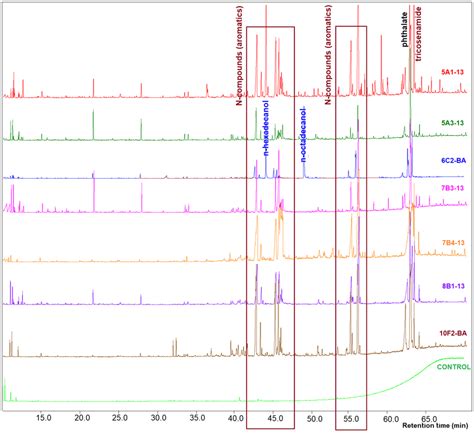 Chromatographic Profiles Gc Ms Of Organic Extracts Highlighting The