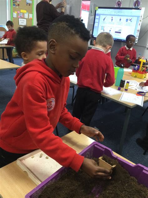 Year 1 Class 4 Science Plants St Bartholomews C Of E Primary School