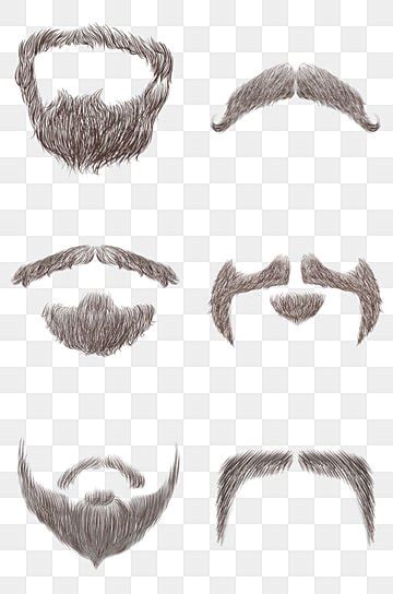 수염 Png 일러스트 이미지 및 Psd 파일 Pngtree에 무료 다운로드