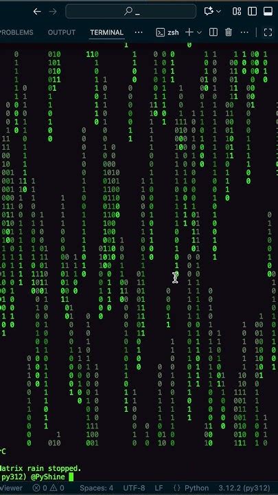 Python Beginners Matrix Rain In Python Short Coding Programming
