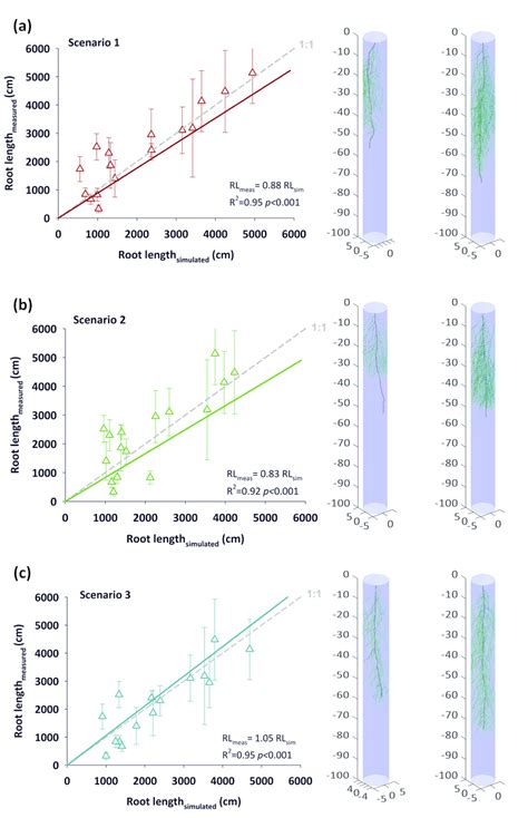 Prediction Of Measured Total Root Length Using The Rsa Model Rootbox Download Scientific