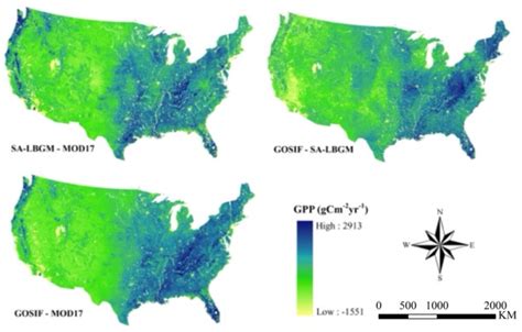 Forests Free Full Text Incorporating Spatial Autocorrelation Into