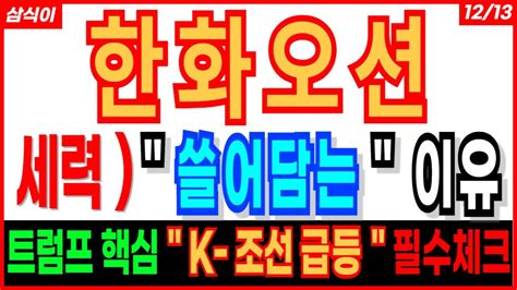 한화오션🔥 세력 쓸어담는 이유 트럼프 핵심 K 조선 급등 조선주 트럼프 삼성중공업 급등주 주가 주가전망 주식추천 목표가 대응방법 삼식이 Youtube