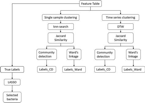 workflow of the clustering pipeline including single and time series