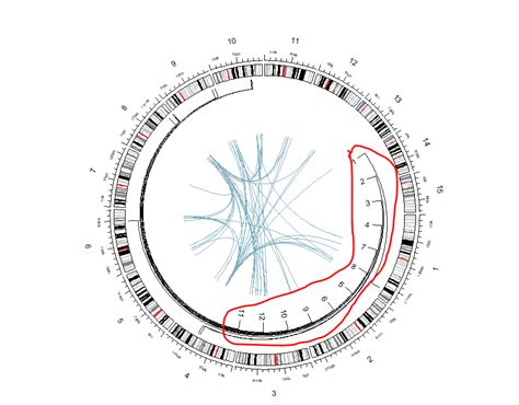 the gene label position rotates by using circos genomiclabels general