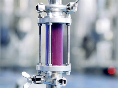 The Difference Between Butterfly Pea Extract And Spirulina Extract