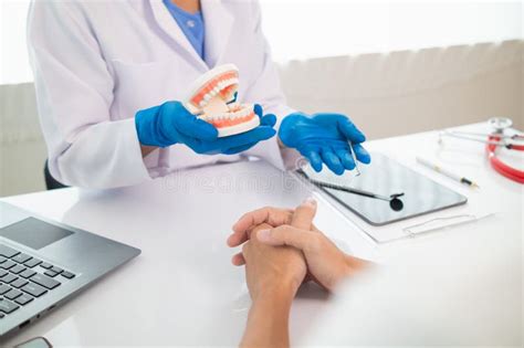 Dentista Segura Dentadura Na M O E Mostra Ao Paciente A Posi O Do