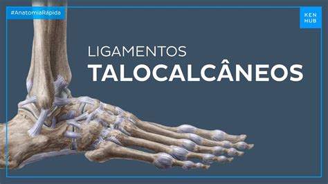 Ligamento No Pe Recuperação Após Fratura De Tornozelo Dicas