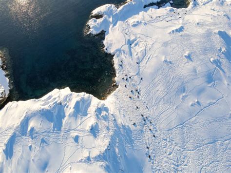 1 000 Antarctica Aerial View Fotografías De Stock Fotos E Imágenes Libres De Derechos Istock