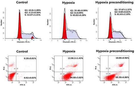 Effects Of Hpc On Cell Cycle Progression Hpc Can Relieve S Phase Effects Of Hpc On Cell Cycle Progression Hpc Can Relieve S Phase