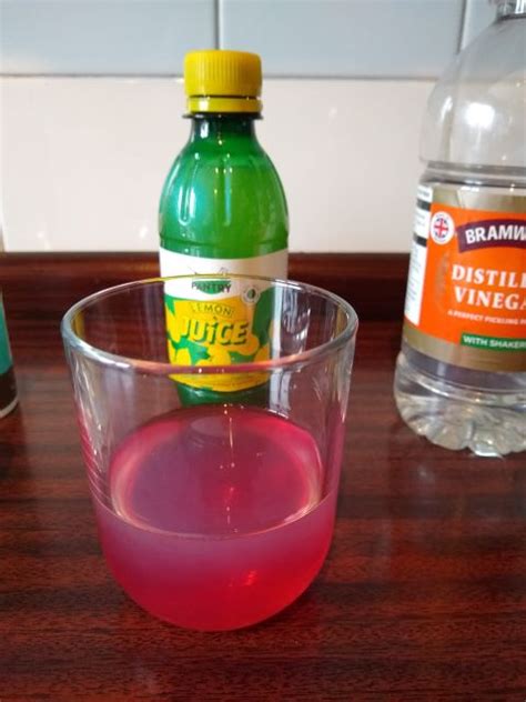 Red Cabbage Indicator