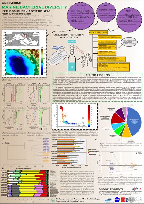 Pdf Uncovering Marine Bacterial Diversity In The Southern Adriatic