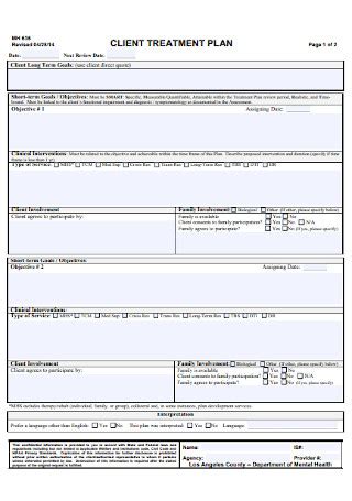 40 Sample Treatment Plan Templates In Pdf Ms Word
