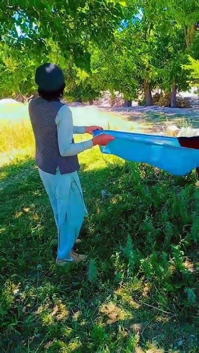 د وطن توتان Youtube