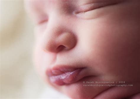 Photo Tips Newborn Sessions Create Variety Through Simple Posing