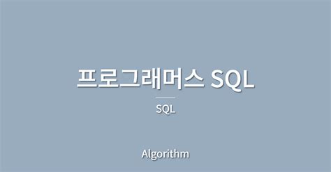 [프로그래머스] sql 연습하기