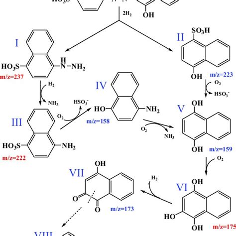 Proposed Partial Pathways For Arb 50 Mgl Degradation For 24 H By Download Scientific