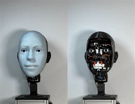 Human Robot Facial Coexpression Science Robotics
