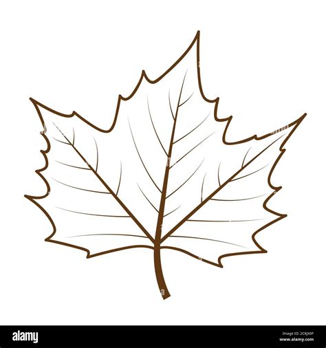 Isolated Autumn Leaf Outline Drawing Vector Illustration EPS10 Stock