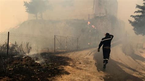 Algeria Wildfires At Least 65 People Killed As Blazes Ravage Forests