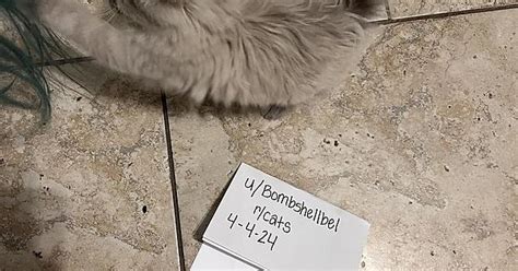 Reddit Album On Imgur