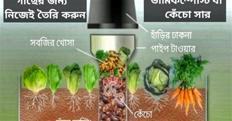 গাছের জন্য ভার্মিকম্পোস্টিং সিস্টেম নিজেই তৈরি করুন। Make Your Own গাছের জন্য ভার্মিকম্পোস্টিং সিস্টেম নিজেই তৈরি করুন। Make Your Own