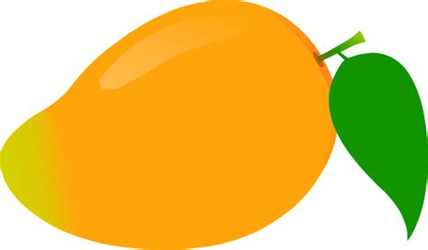 Mangga Vector Png 50 Koleksi Gambar
