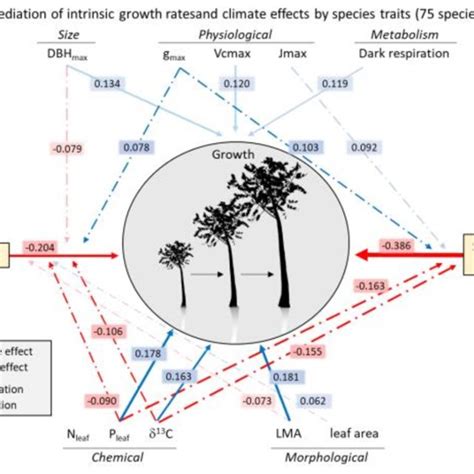 PDF Tropical Tree Growth Sensitivity To Climate Is Driven By Species Intrinsic Growth Rate And