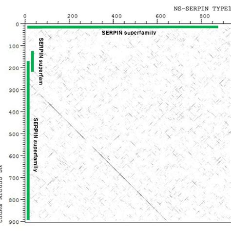 the dotplot analysis between ns serpin type 1 and ns serpin type 2