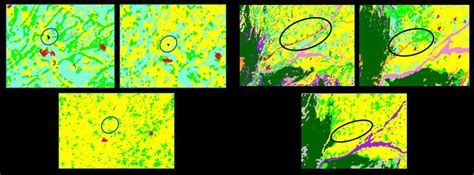 Interpretation Of Different LULC Classes In Different Spatial Resolutions Download Scientific