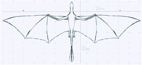 How To Draw Dragon Wings Step By Step