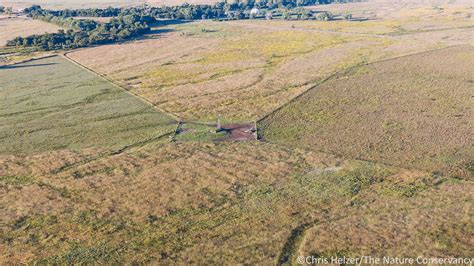 Habitat Heterogeneity Through Time And Space The Prairie Ecologist