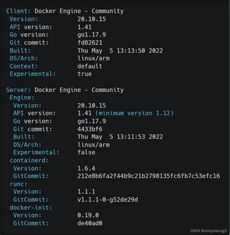 如何在debian 10上安装docker？debian10安装docker Csdn博客