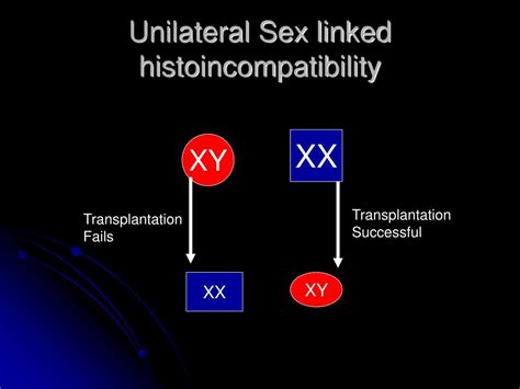 Ppt Immunology Of Transplantation And Malignancy Powerpoint Presentation Id 1751792
