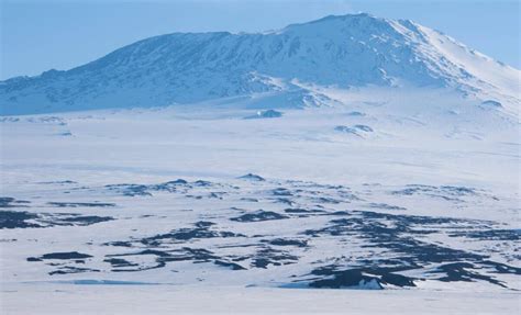 Discovery Of The Oldest Human Remains In Antarctica Raises New Questions