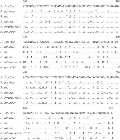 Dna Sequence Alignment Of The Mitochondrial Gene Cytochrome Oxidase