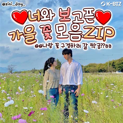 우리동네단골가게 너와 보고픈 가을꽃모음 날도 선선하니 딱 가을이잔아 💐 지금 아니면 못 보는 꽃