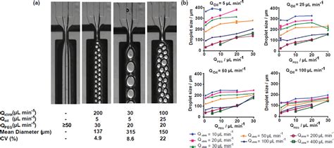 Microfluidic Based Generation Of Size Controlled Biofunctionalized