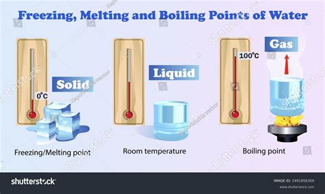 Freezing Melting Boiling Points Water Science Stock Vector Royalty Free 2491856309 Shutterstock