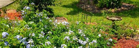 Virtual Vs Real Relationships Insights From Pastor Kathi Johnson