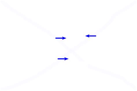 Deposition And Resorption 13 Digital Histology
