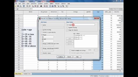 Spss Tutorials Recoding An Interval Levelscale Variable Into A New