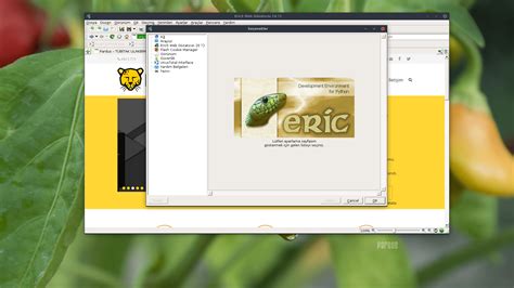 Eric Python Ide Pardus Uygulamaları
